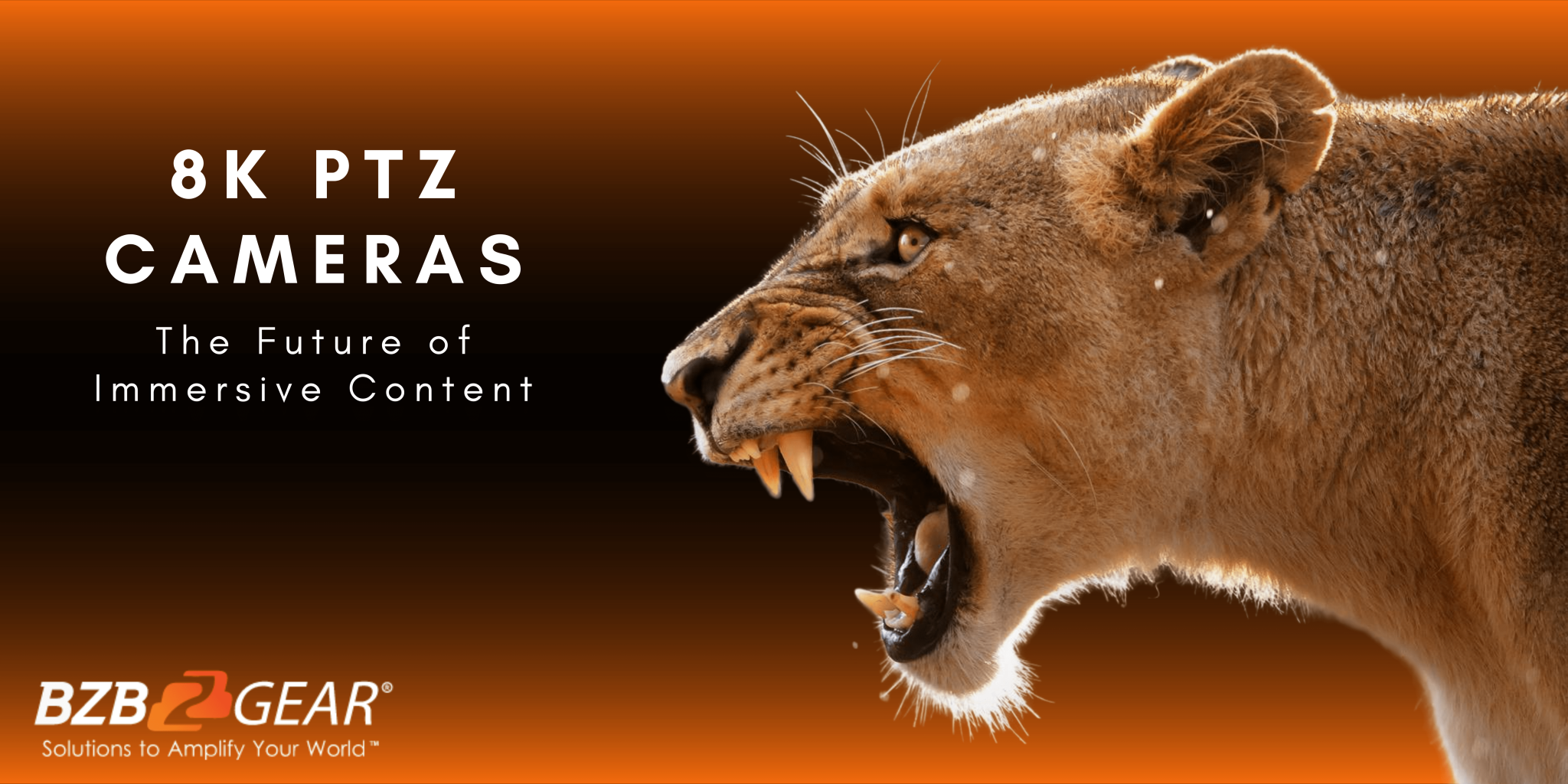 The Future is Here: 8K PTZ Cameras are Coming Soon | Bzbgear